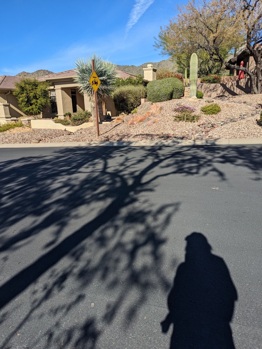 Where the Shadow People Go – Muttering Retreats