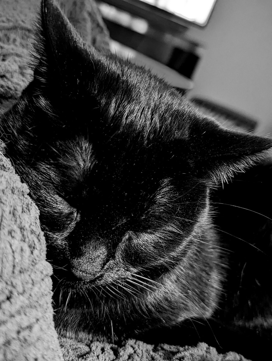 All Is Well – Muttering Retreats